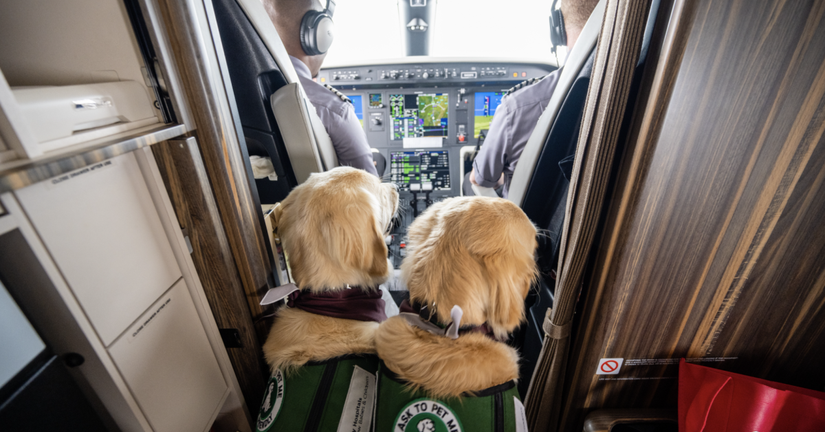Flexjet partners with University Hospitals to transport facility dogs Flexjet partners with University Hospitals to transport facility dogs